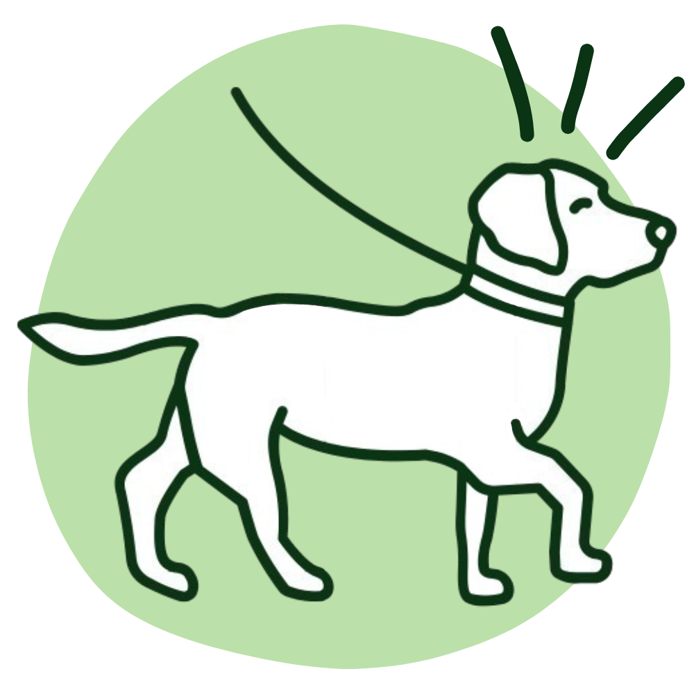 Hund – Page 2 – Tassarna SE